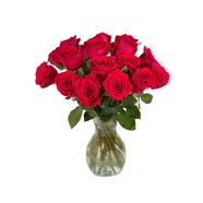 Hot Pink Roses Gift - Farm Direct Fresh Cut Flowers - 24 Stems - by ...