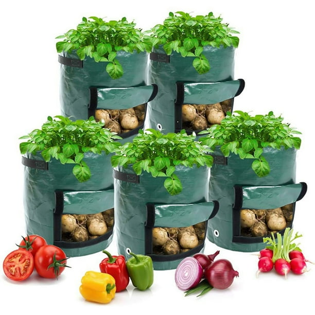 5 Gallon Pots