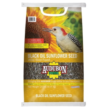 Audubon Park Premium Blend Wild Bird White Millet Wild Bird Food 5 lb ...