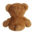 "Aurora - Fluffy Teddy Plush Toy - Small Brown Bear - 9"" Softie Animal ...