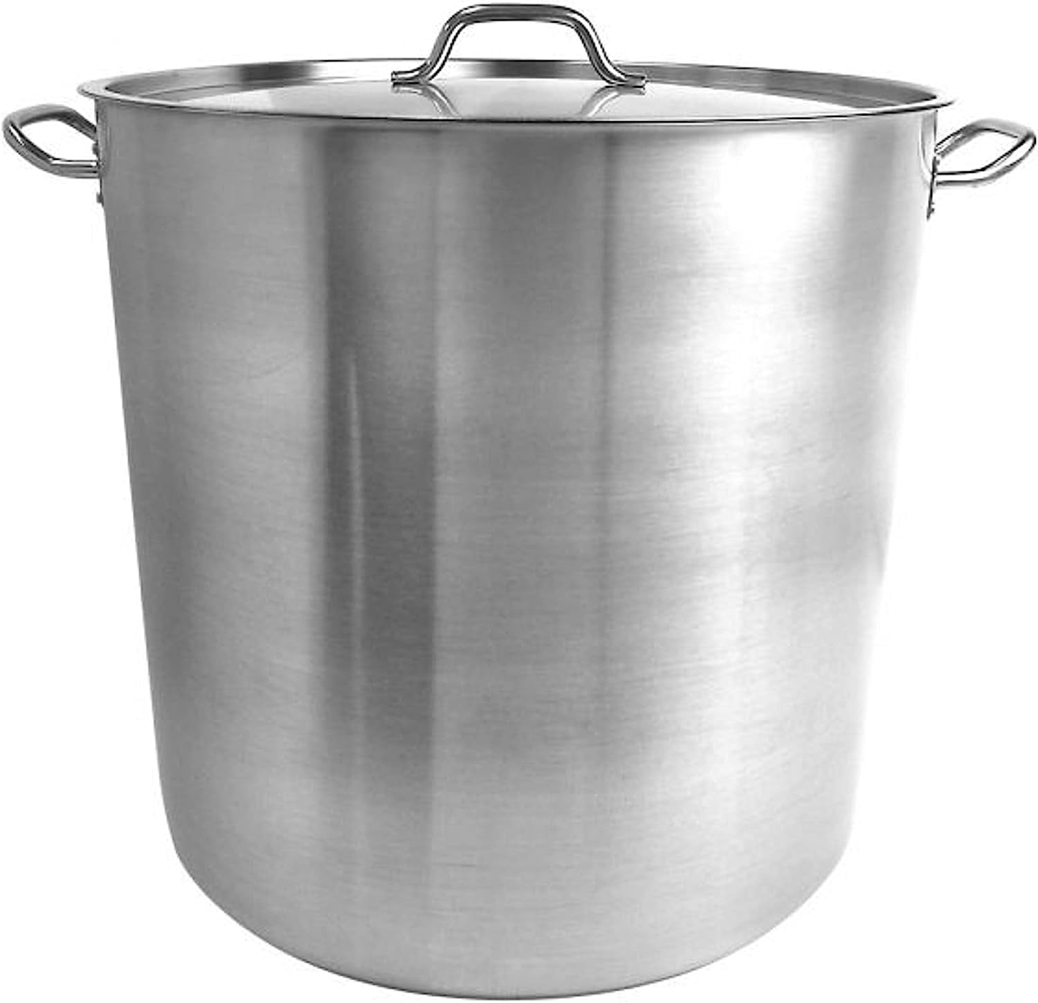 Truecraftware – 100 qt. Stainless Steel Stock Pot with Lid - Large ...