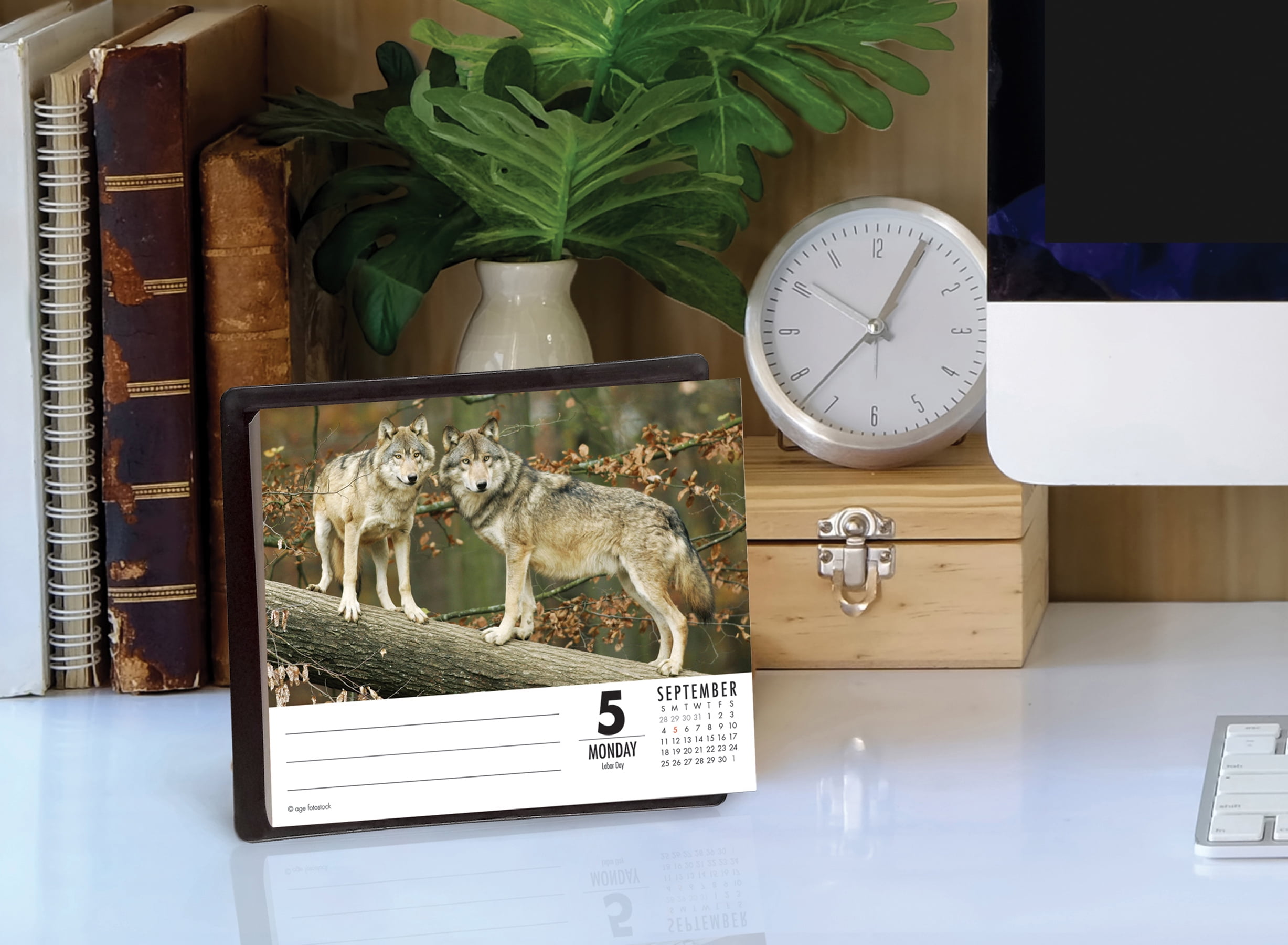 Calendars & Planners Wolves Daily Desktop Spirit of the Wolf 2022 Box ...
