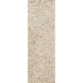 Loloi II Ziva Contemporary Multi Area Rug - Walmart.com