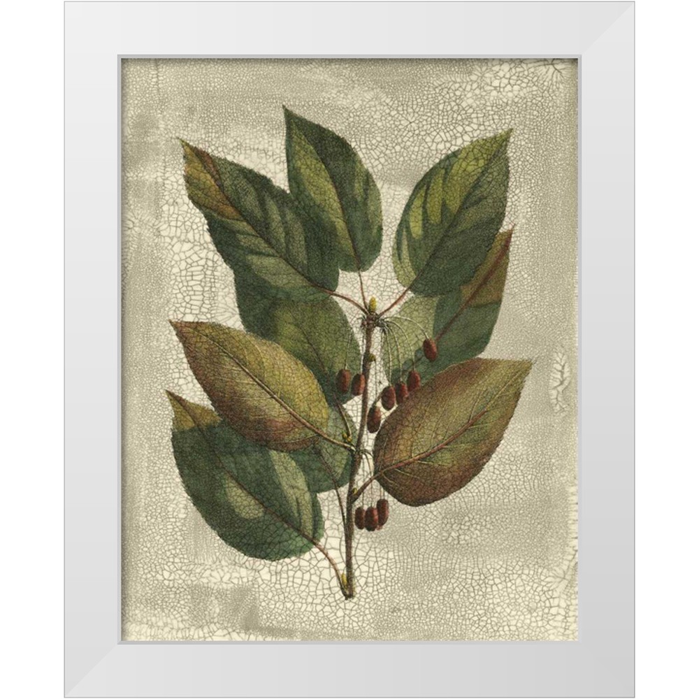 Vision Studio 26x32 White Modern Wood Framed Museum Art Print Titled - Printed Deshayes Trees IV ...