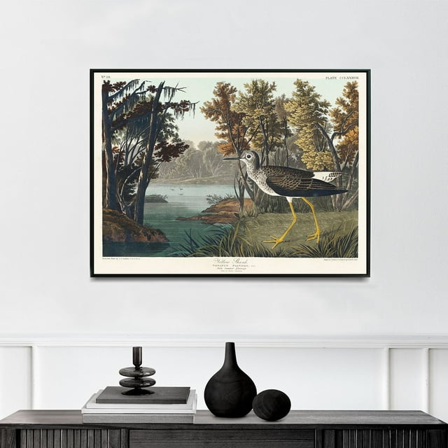 Yellow Shank - 1827 | John James Audubon | Premium Fine Art Print ...