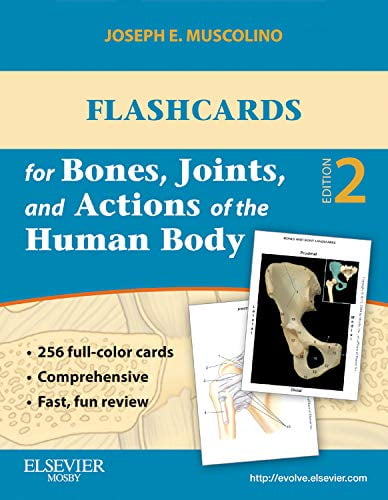 Pre-Owned Flashcards for Bones, Joints, and Actions of the Human Body ...