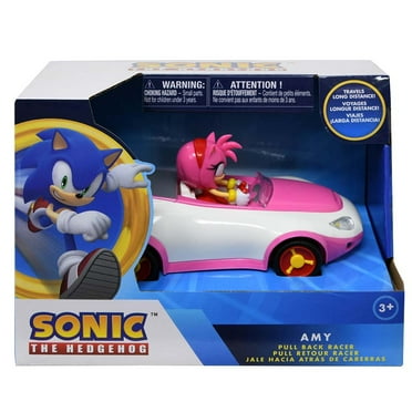 Walmart Toy: Sonic the Hedgehog Pull Back Racer - Amy Rose, Team Sonic ...
