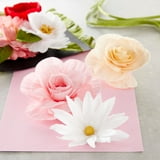 Red - White & Pink Crepe Flowers by Recollections™ - Walmart.com
