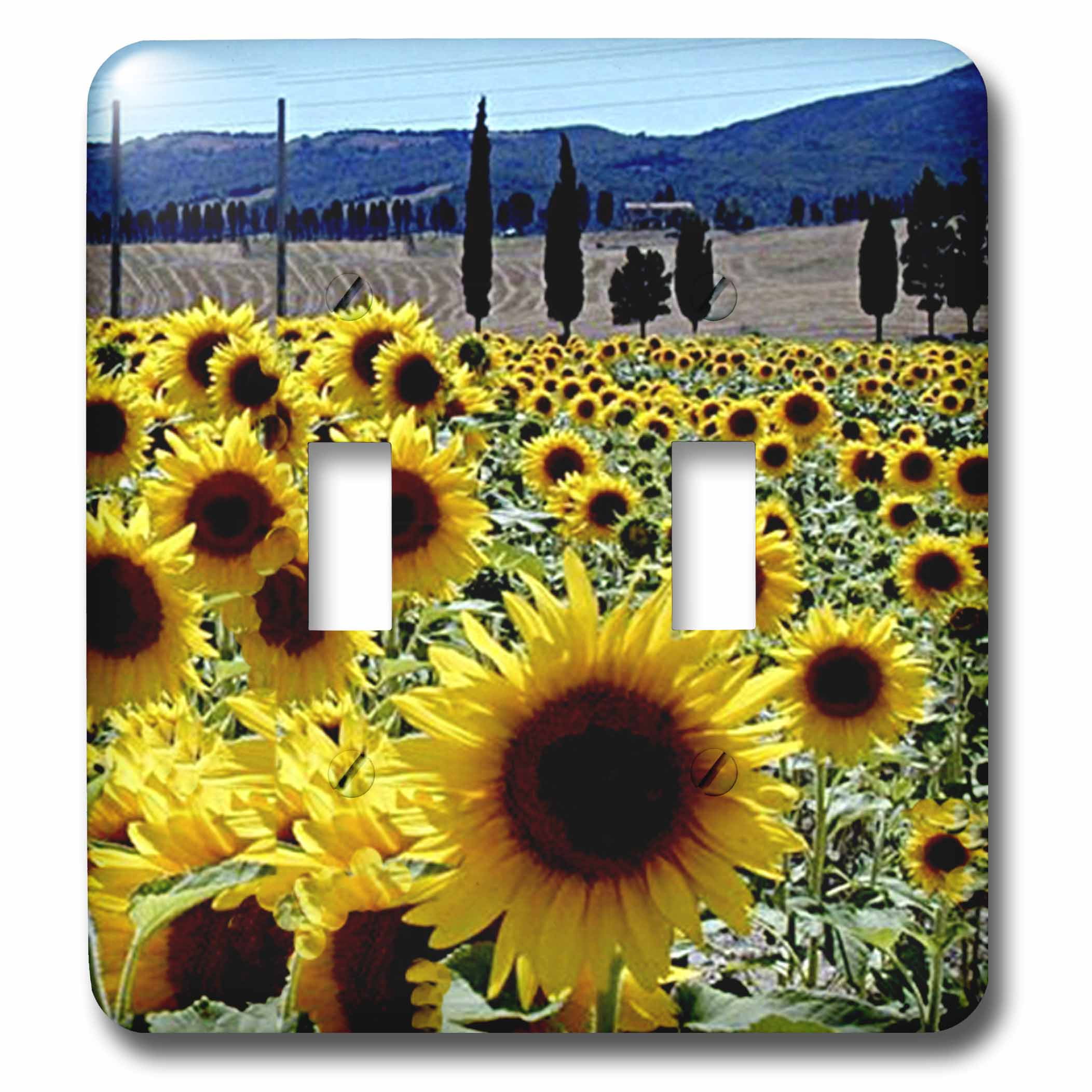 Sunflowers double toggle switch lsp-764-2 - Walmart.com
