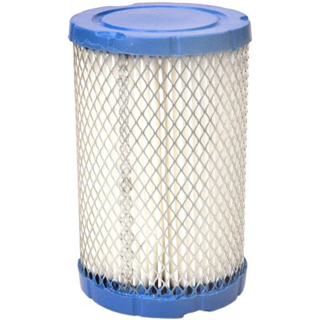 Maxpower 334395 Air Filter for Briggs and Stratton Replaces 591334 ...