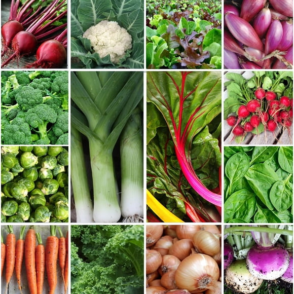 red onion | Walmart Canada