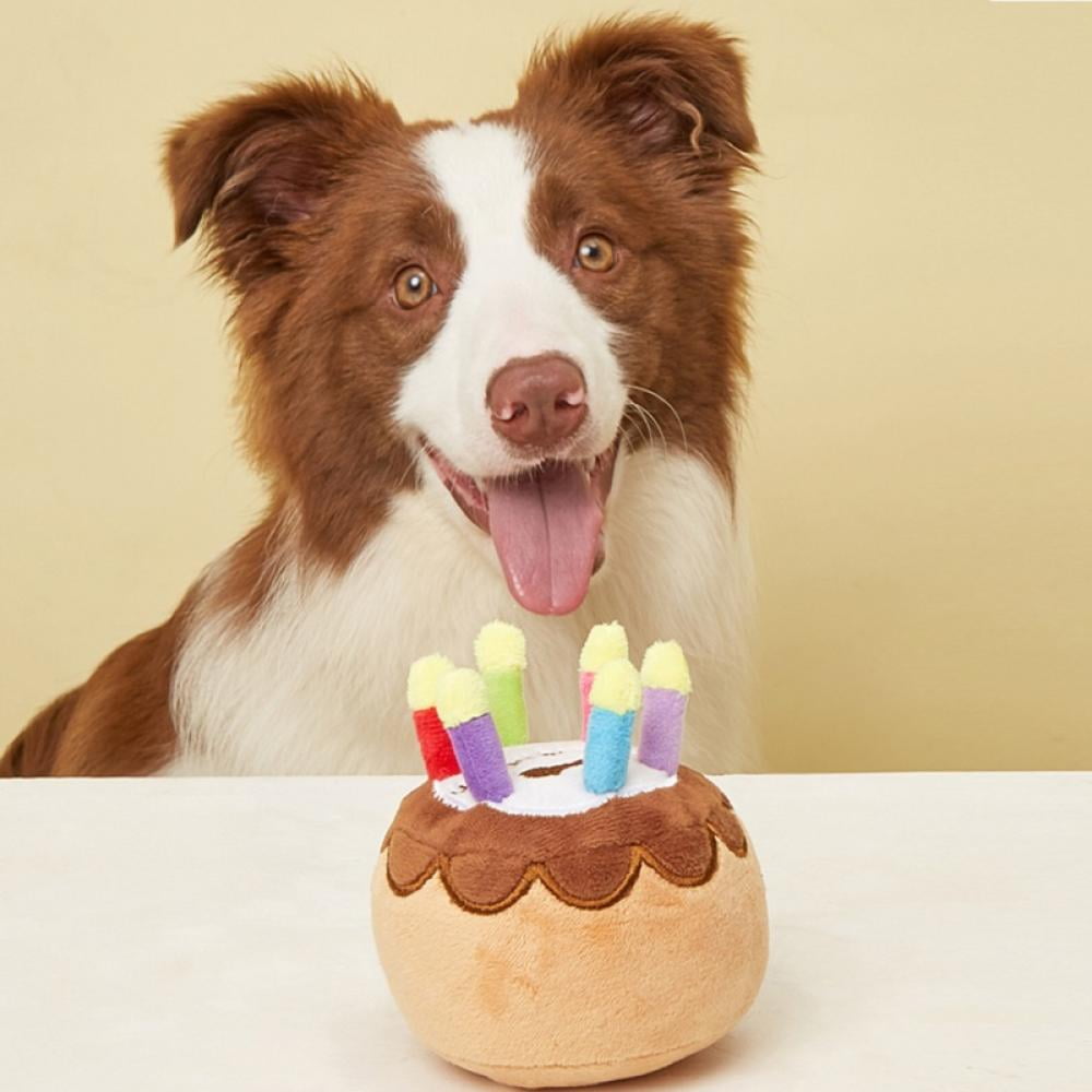 Are Border Collies Vocal