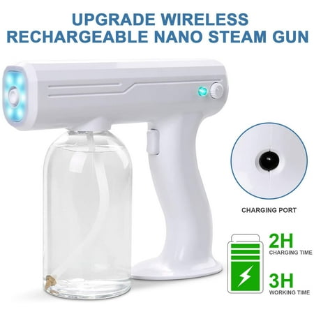 Portable steam gun 800ml (28oz) | Walmart Canada