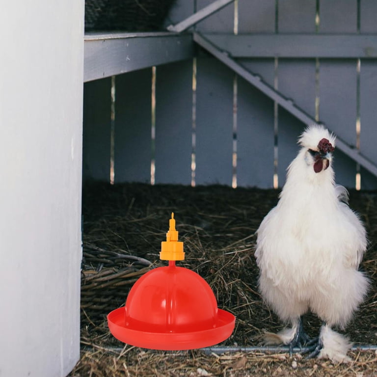 Poultry Water Heater Chicken Waterer Heated 2 Gallon Chicken Water ...