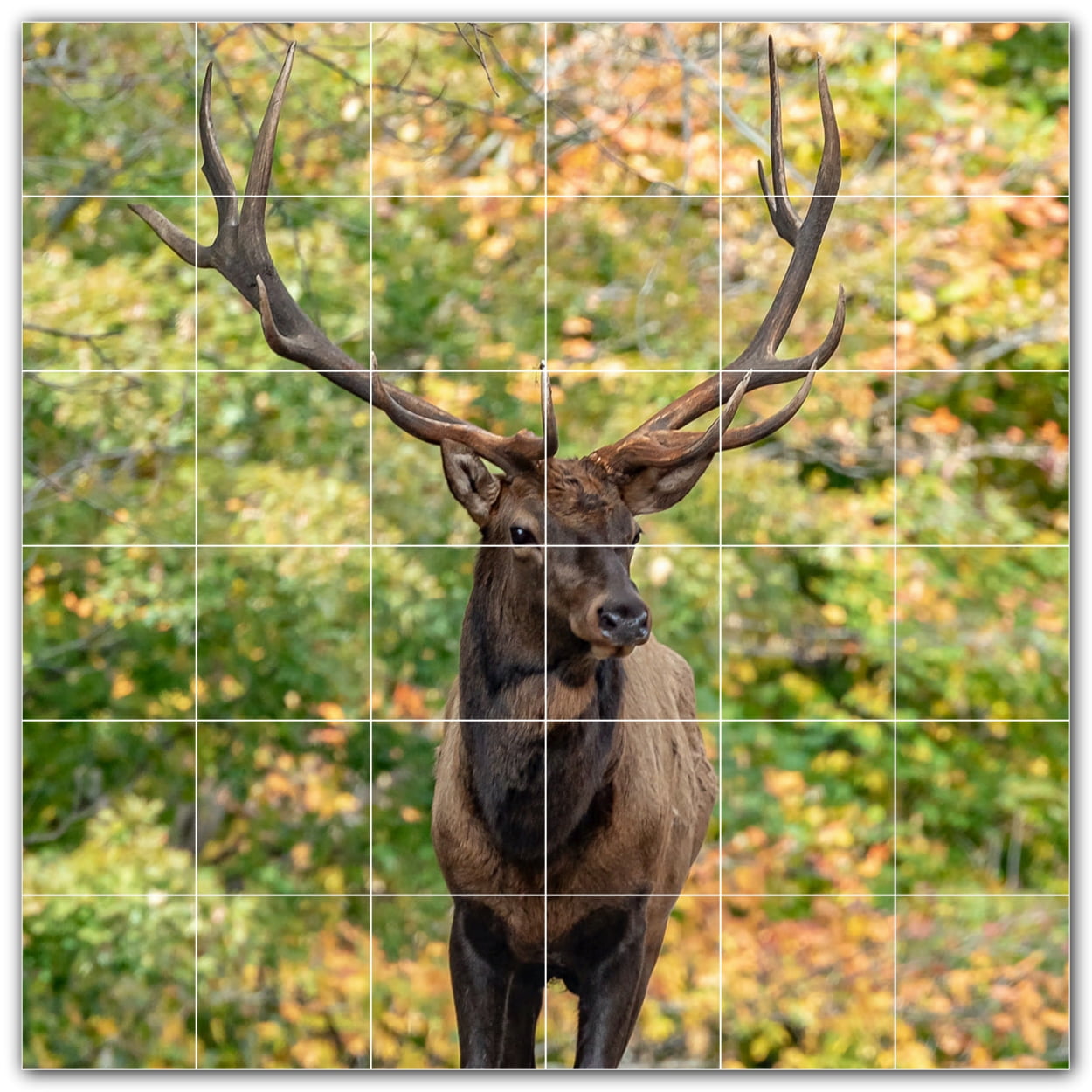 Picture-Tiles.com: Deer Ceramic Tile Wall Mural WAL500457-66XL. 72"W x ...