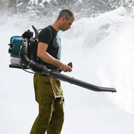 CRAFTSMAN BV245 27cc 2-Cycle Full Crank Engine Gas Powered Leaf Blower ...