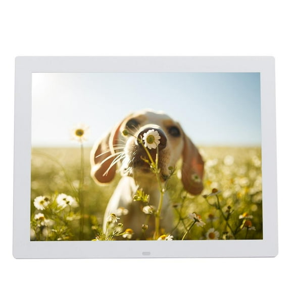 Digital Photo Frames | Walmart Canada