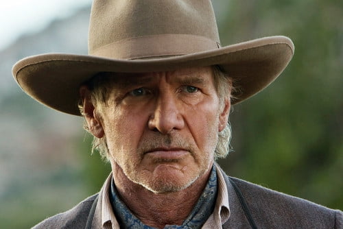 Harrison Ford 24x36 Poster - Walmart.com