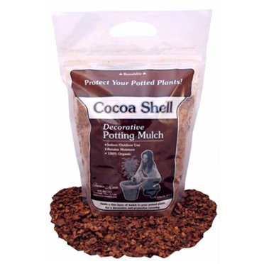 Black Gold Peat Moss Plus, 8 qt - Walmart.com