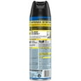 Raid, Flying Insect Killer, 15 OZ, Indoor Outdoor Spray Pack of 6 ...