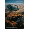 Hot Head, (Paperback) - Walmart.com