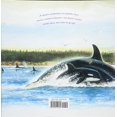 Wild Orca: The Oldest, Wisest Whale in the World (Hardcover) - Walmart.com