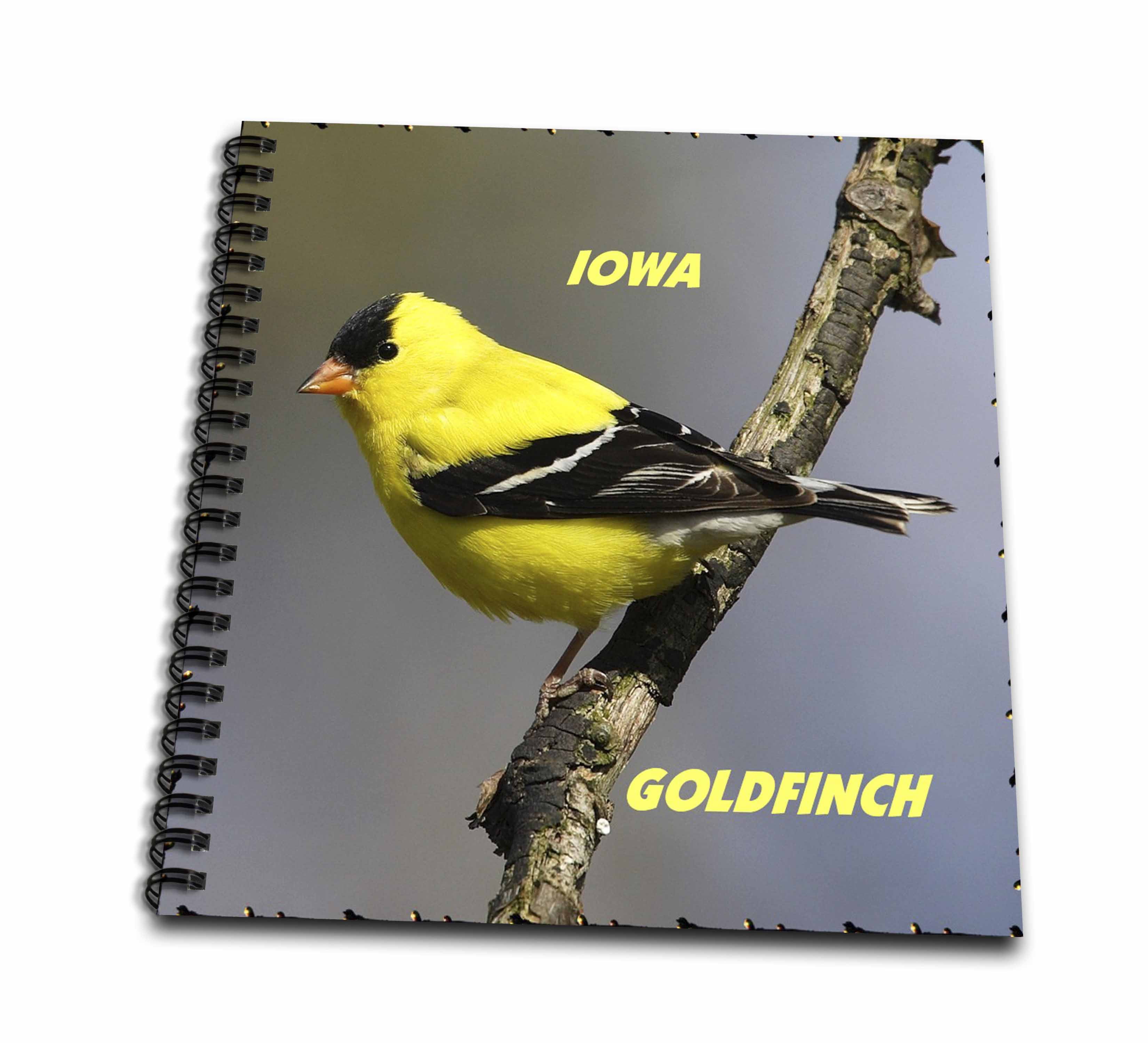 3dRose State Bird Of Iowa Goldfinch - Drawing Book, 8 by 8-inch ...