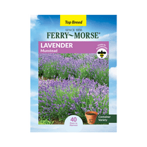 Burpee Munstead Lavender Herb Seed, Annual Lifecycle, Full Sun, 1 ...