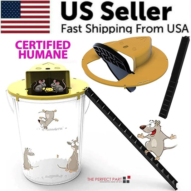 Mouse Rat Trap Flip & Slide Mouse Trap Bucket Catcher Mousetrap Slide ... Mouse Rat Trap Flip & Slide Mouse Trap Bucket Catcher Mousetrap Slide ...