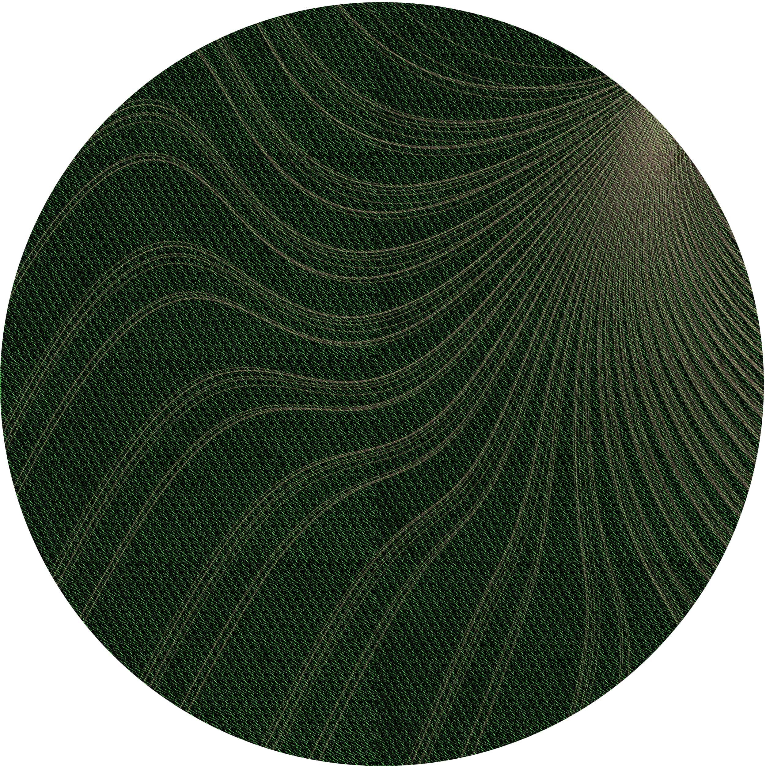 Ahgly Company Indoor Round Patterned Deep Emerald Green Area Rugs, 8 ...
