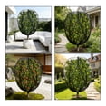 Black Fruit Tree Netting with Zipper & Drawstring, Fine Mesh Plant ...