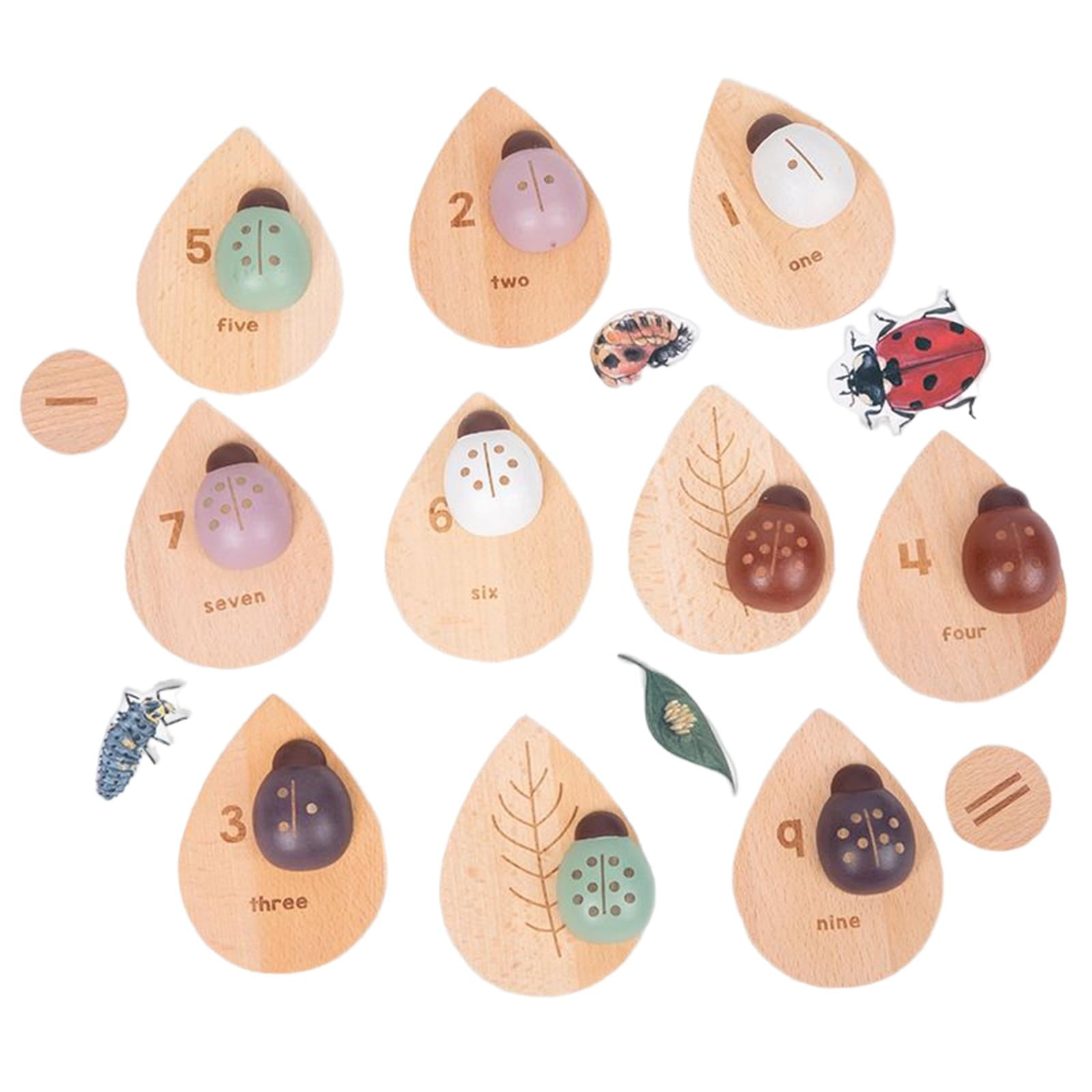 Math Counting Toys Ladybugs Number Matching Sensory Education for ...
