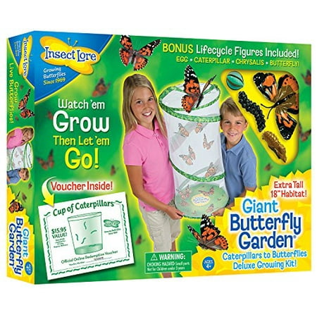 Insect Lore Giant Butterfly Kit: Deluxe 18" Habitat, Voucher For 5 ...