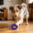 Ring Dog Chew Toy, Durable Rubber with 3 Texture Zones for Aggressive ...