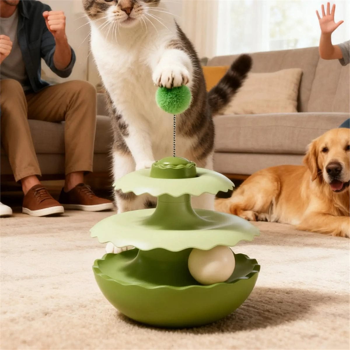 Click here for Unbranded Ball Track For Indoor Cats Bored Animals... prices