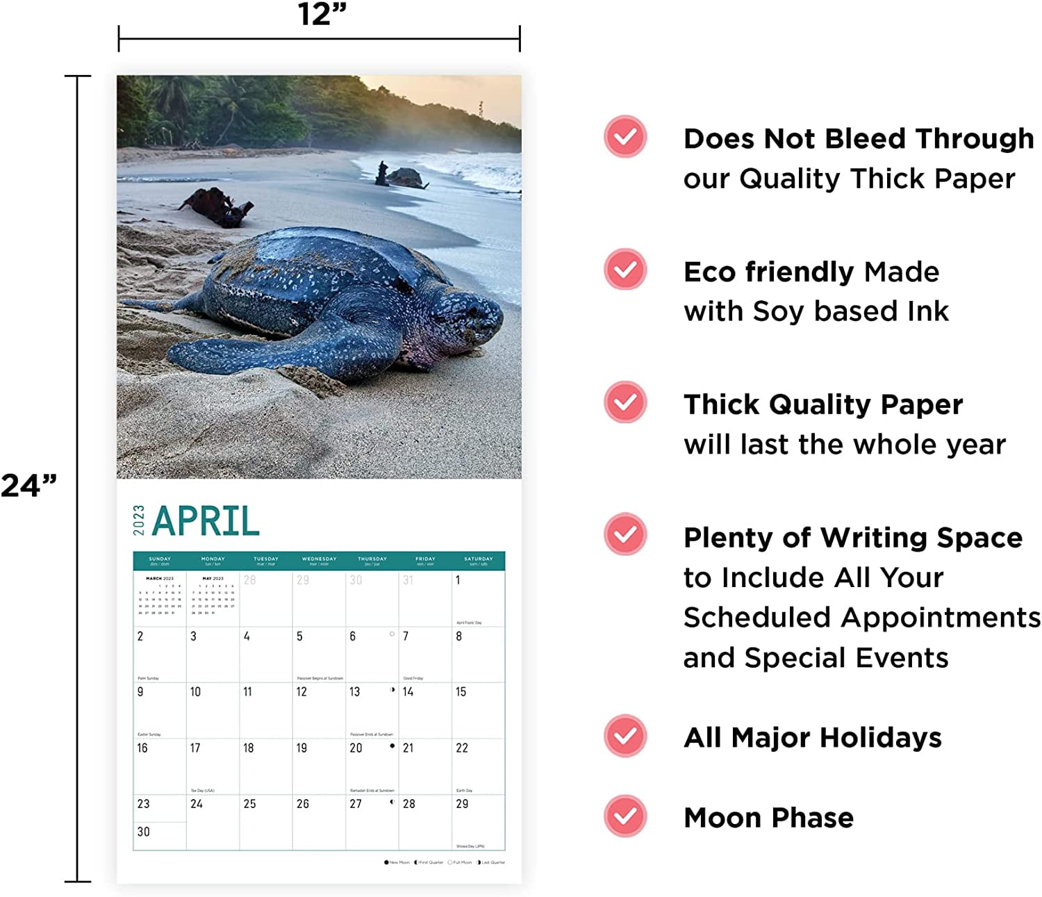 Buy 2023 Sea Turtles Monthly Wall Calendar by Bright Day, 12 x 12 Inch ...