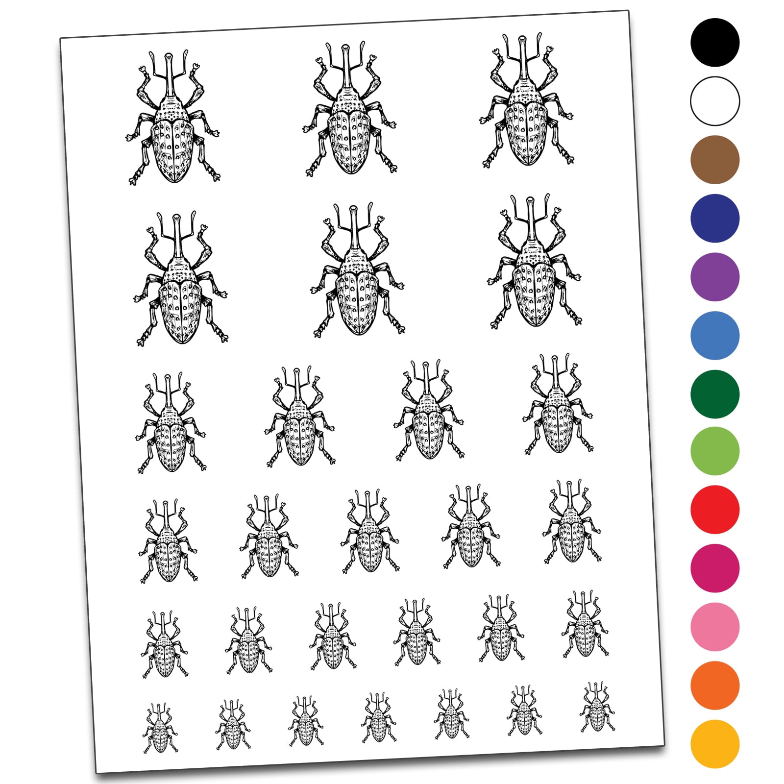 Weevil Snout Beetle Insect Bug Water Resistant Temporary Tattoo Set ...
