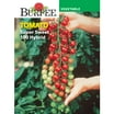 Burpee Bodacious Hybrid Tomato Vegetable Seed, 1-Pack - Walmart.com