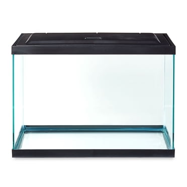 Tetra Tetrafauna 20-Gallon Deluxe Aquatic Glass Turtle Tank Starter Kit ...