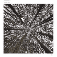 Blank & Jones - Relax Edition 10 (Ten) - Music & Performance - CD - Walmart.com