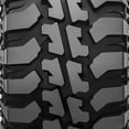 Set of 2 Radar Renegade R5 LT31X10.50R15 109Q C Tires - Walmart.com