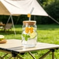 450ml Glass Water Cup with Cup Lid and Glass Straw Butterflys ...