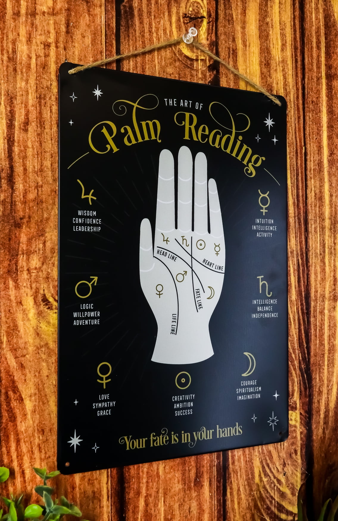 Vintage Fortune Teller Sign