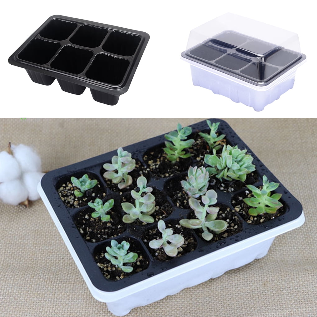 6 Holes Plant Propagation Seeding Box Moisture Preservation Seed Grow ...