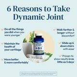 Stonehenge Health Dynamic Joint Supplement - Comfort, Mobility ...