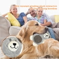 Cute Squeaky Plush Dog Toys Soft Chew Toys for Small to Medium Dogs ...