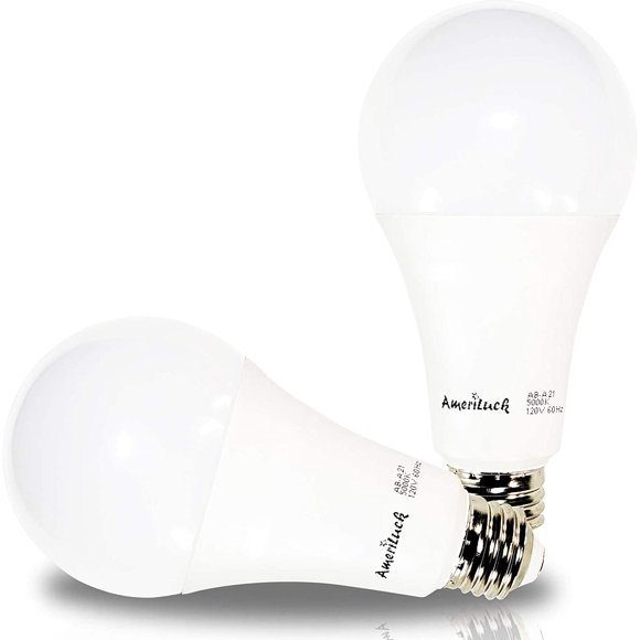 3 Way LED Light Bulbs