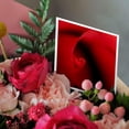 3drose, Usa, Indiana. Close-up of Red Rose., 6 Greeting Cards with ...