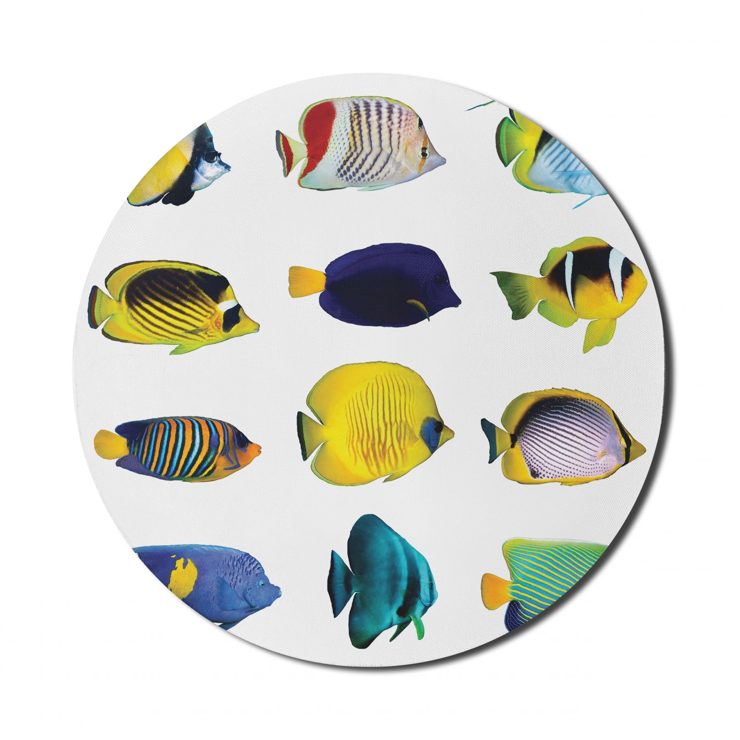 Aqua Mouse Pad for Computers, Tropical Fish Animal with Zebrasoma ...