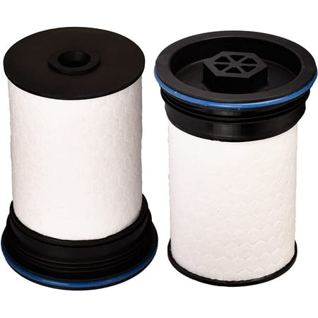 (Pack of 2) Replacement Fuel Filter Element TP1007 Compatible with 2016 ...